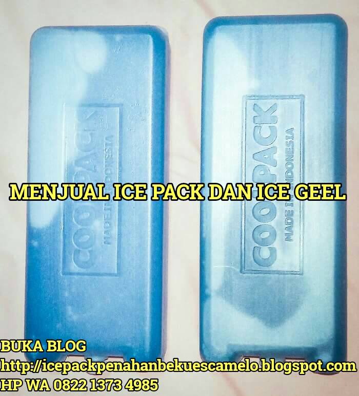 ICE PACK ICE GEL: ICE PACK ICE GEL