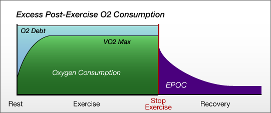 PROF. SÉRGIO NUNES - QUALIFIS - ATIVIDADE FÍSICA PERSONALIZADA: EPOC ...
