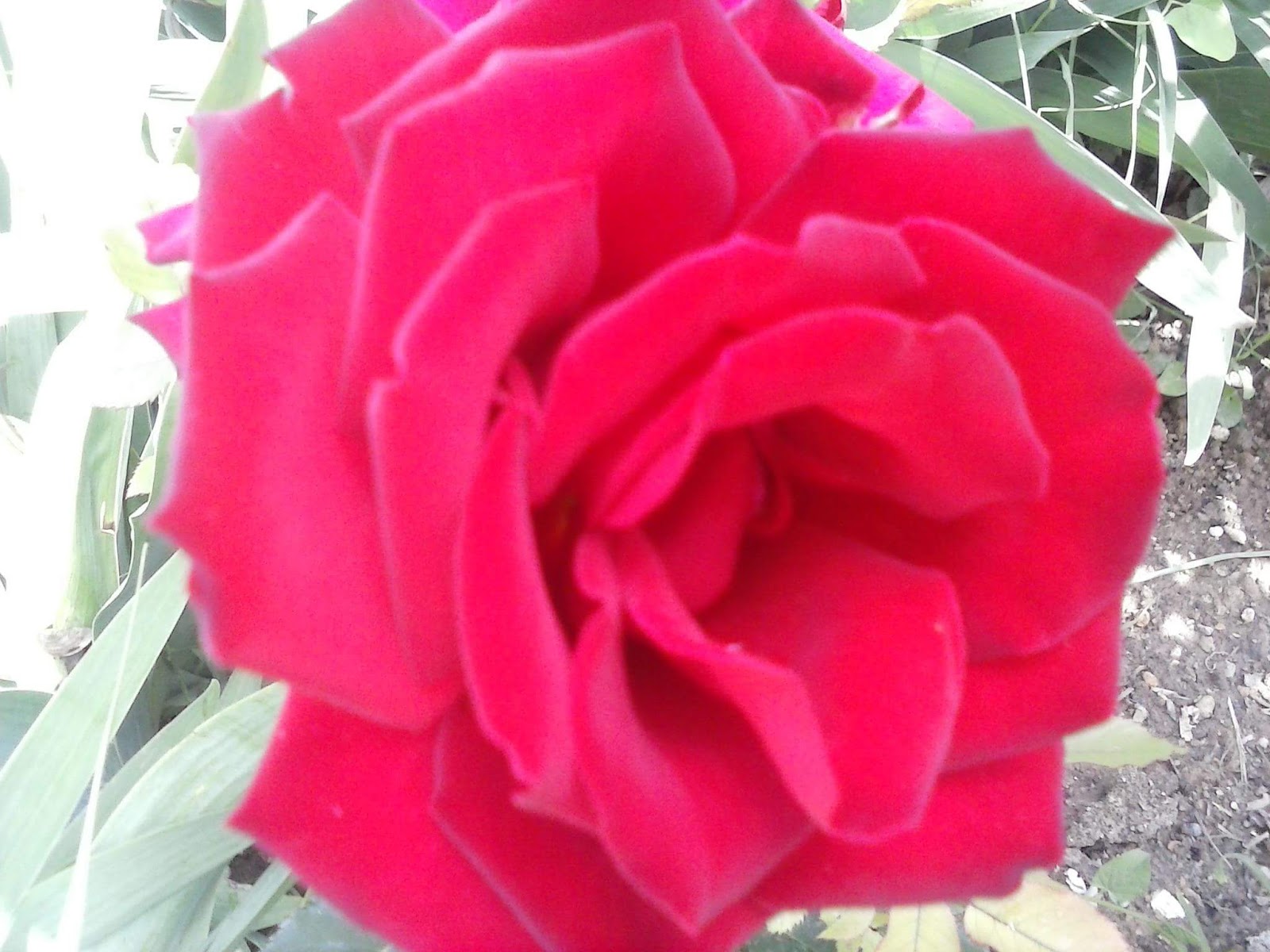 Crochet y demos: 2015