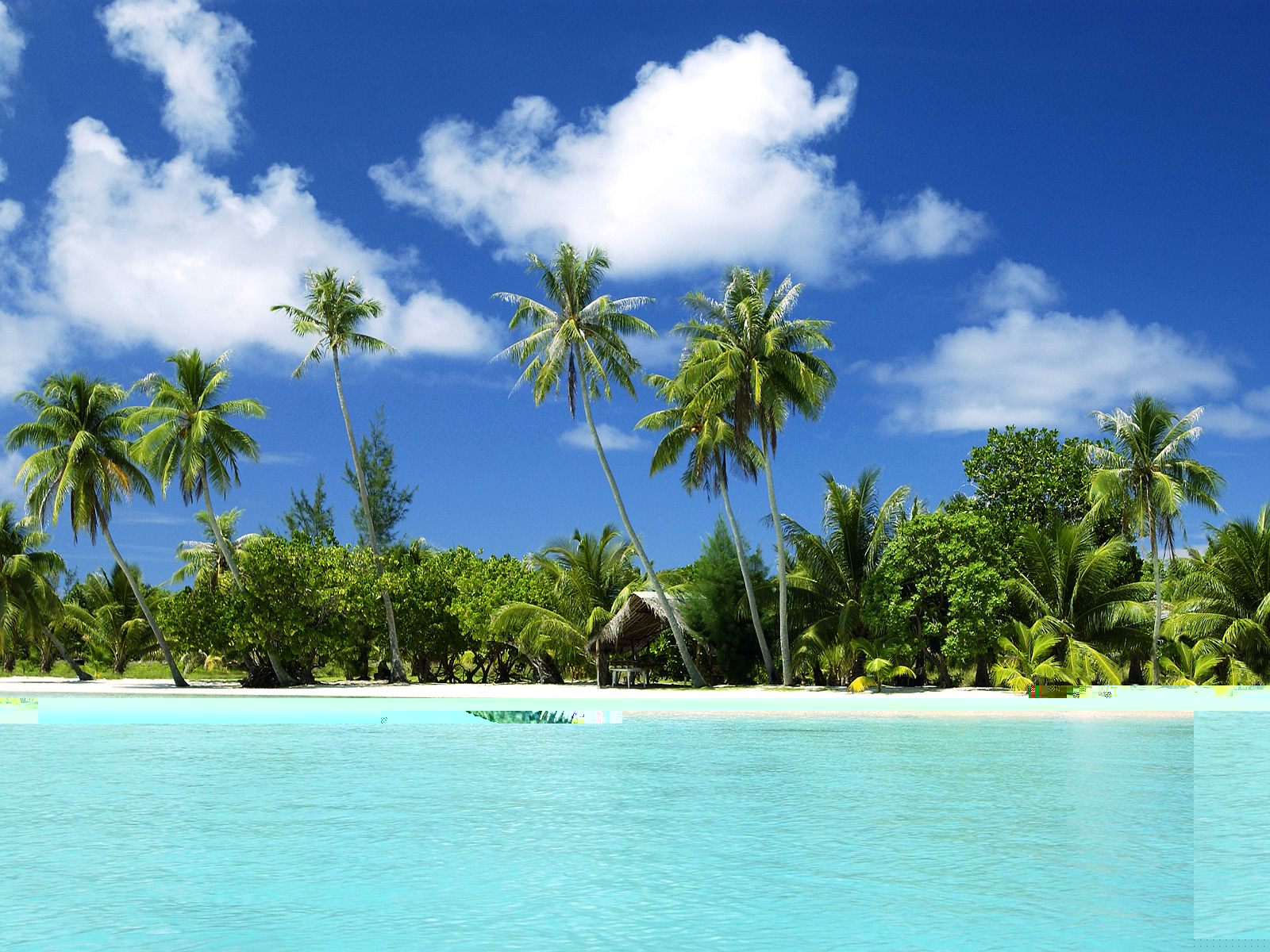 Tropical Beach - Most Famous Places
