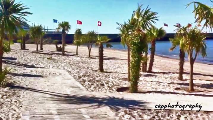 Top best things to do in Helsingborg, Sweden - Mac the Explorer