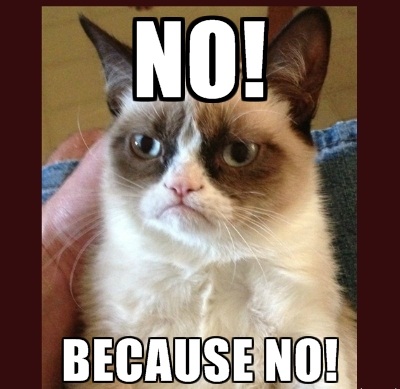 Grumpy Cat Saying No | Funny Collection World