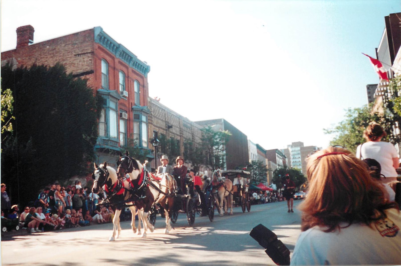 Lindquistics the Musings of Marian Lindquist: July 2015