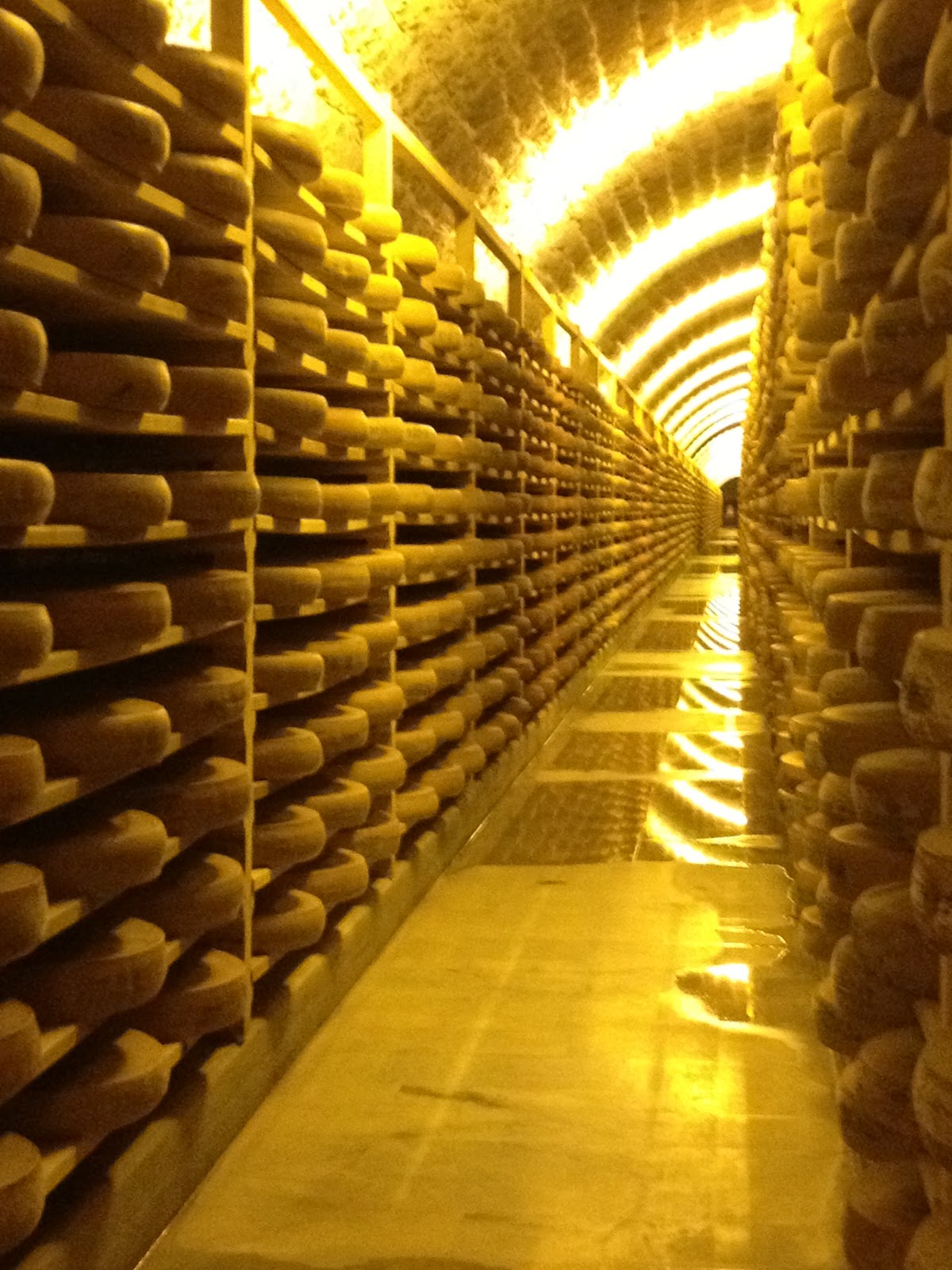 Microbiology and Culture of Cheese and Wine -- Adrianne Speranza: Comte ...
