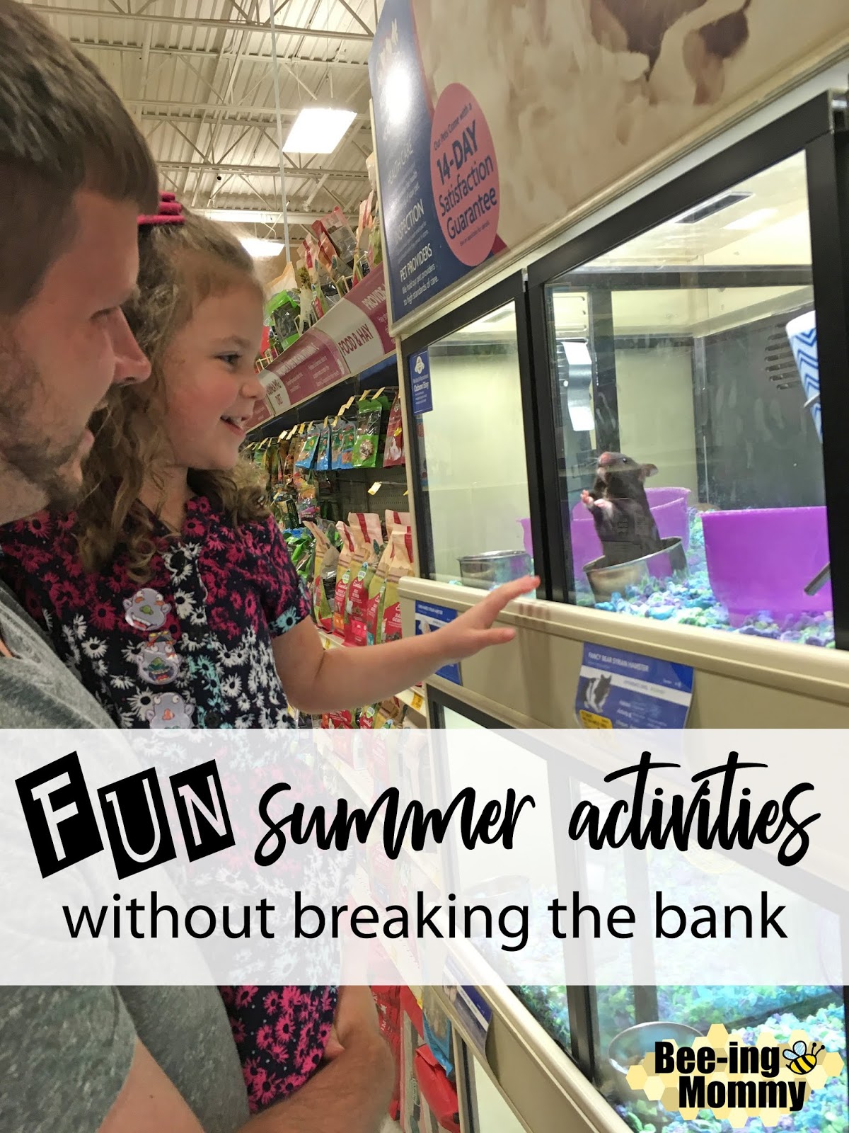 Free Summer Activities for the whole Family