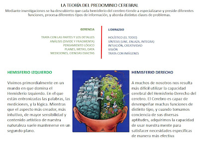 Principios de Liderazgo: La Teoría del Predominio Cerebral