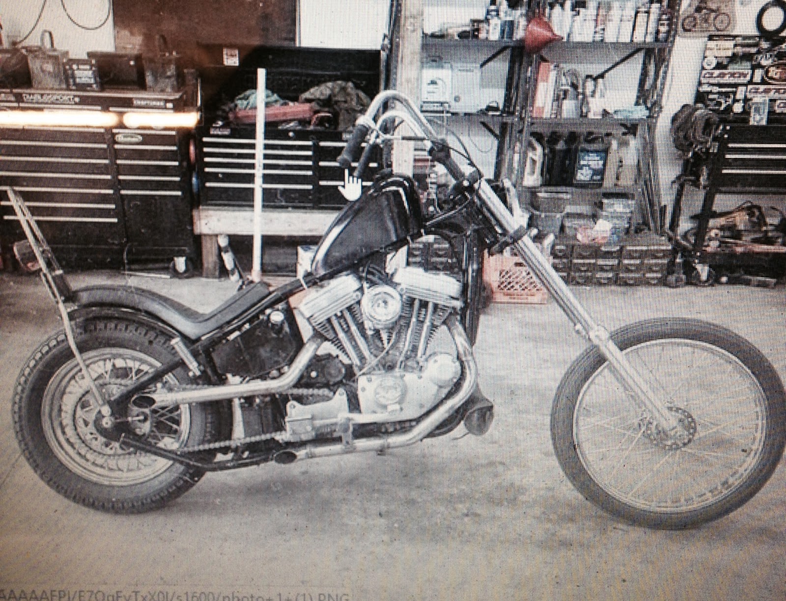 Haifley Brothers: Sporty Hardtail kits in action!!