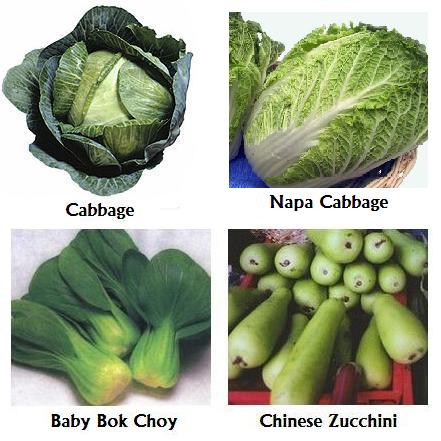 Micky's Favorite Taiwanese Recipes: Jiaozi - Chinese Dumplings