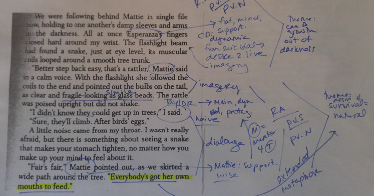 Mrs. Robison's Blog: The Bean Trees Unit Ideas