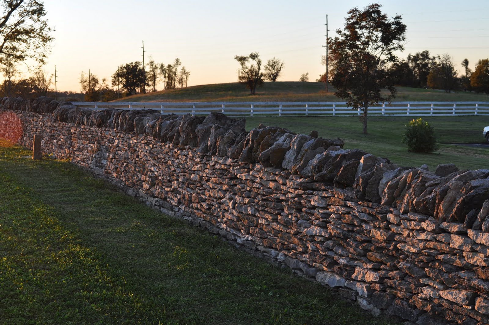 ROCKIN WALLS: Got Stone?