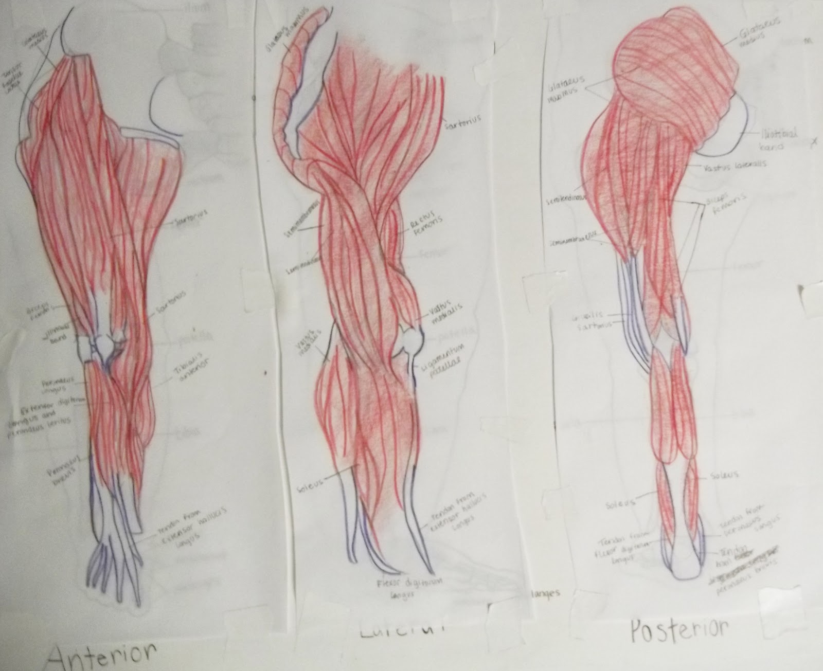 Michelle Rakar's Art Cave: February 2012