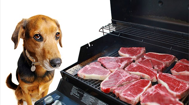 K's Pampered Pet: Grilling Safety with Pets Around