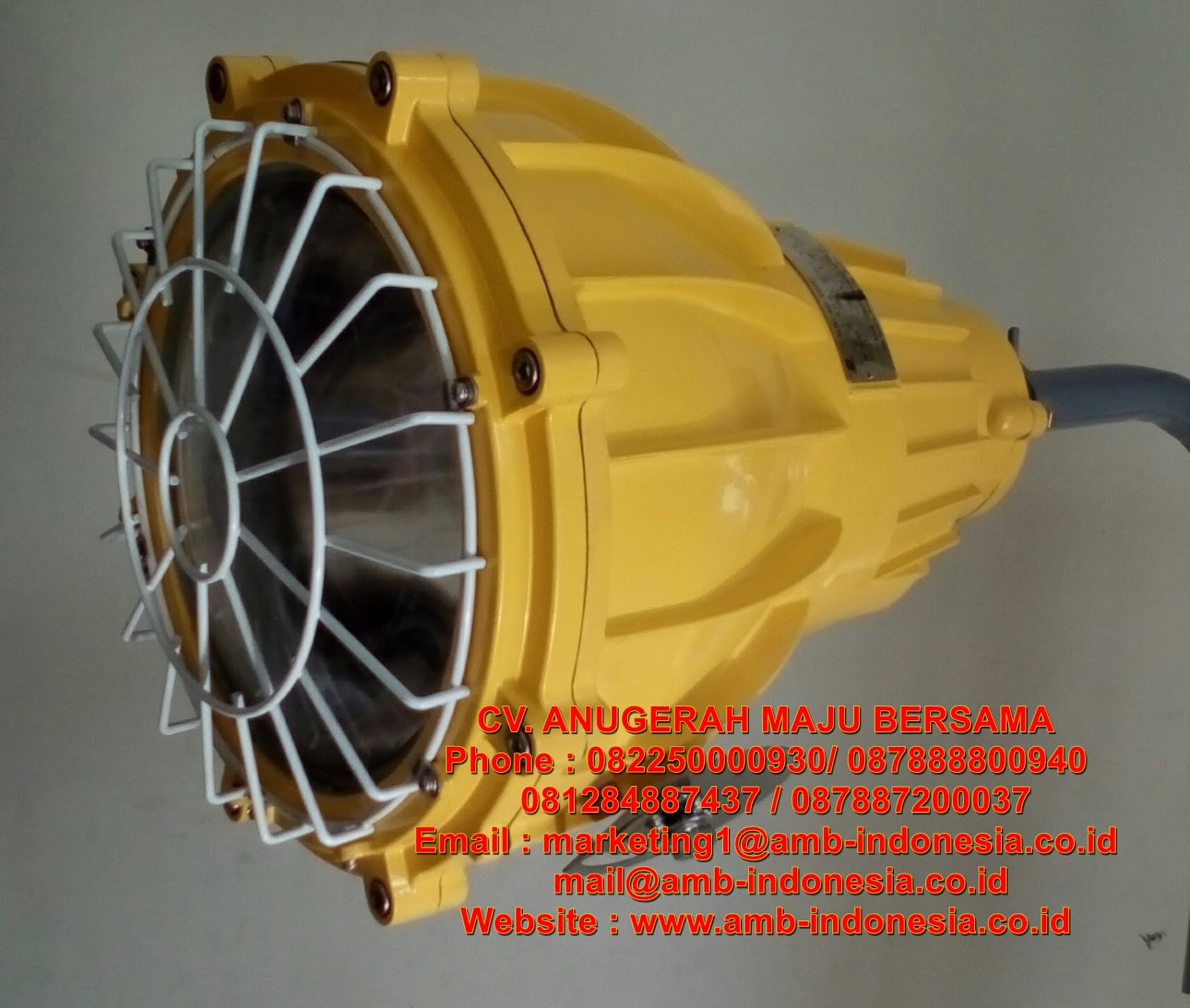 Warom Explosion Proof Electrical: Lampu Sorot Explosion Proof 150W 250W ...