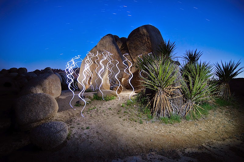 :: Alexandra Proaño 3D - Green Pear Diaries ::: Toby Keller: Fotografía ...