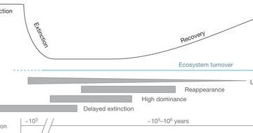 Cassandra's Legacy: How about the "sixth extinction?" It is a Seneca ...