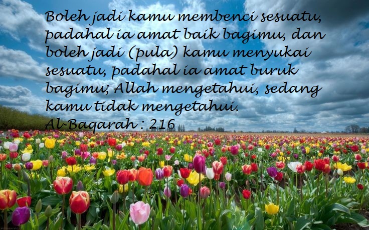 life is a gift: January 2017