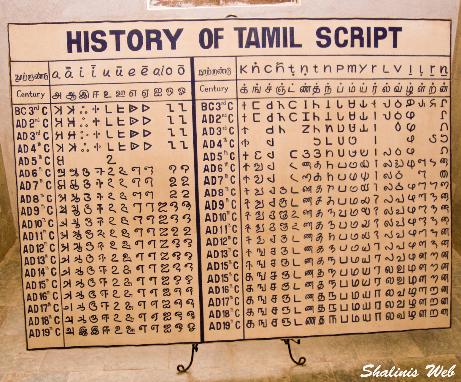 Shalini's Web: History of Tamil Script