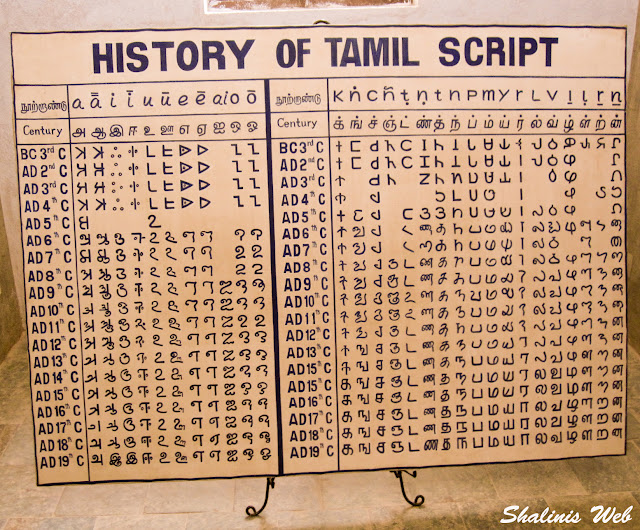 Shalini's Web: History of Tamil Script