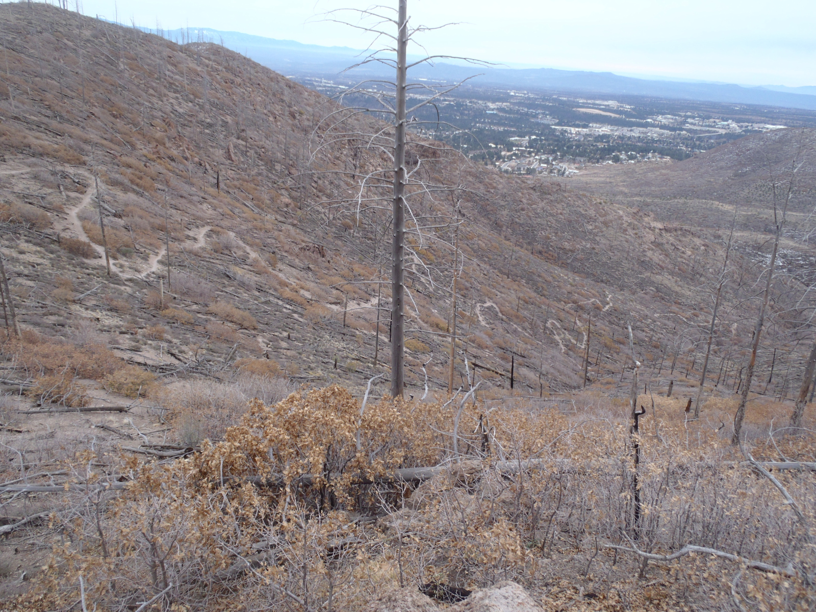 Los Alamos Trail Conditions and Updates: Mitchell Trail