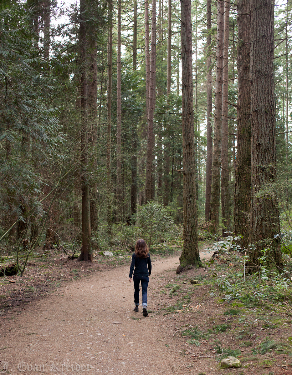 Kreider's Korner Photographs: Sword Fern Trail, Pacific Spirit Park ...