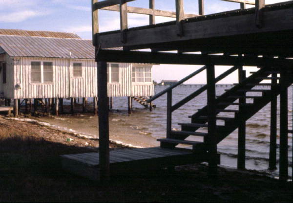 Sun-N-Sandspurs: Dekle Beach Inc.