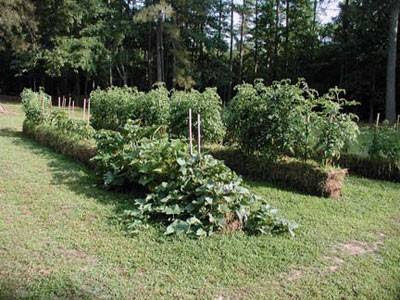 Breuillet Nature: Des potagers qui font rêver (album)