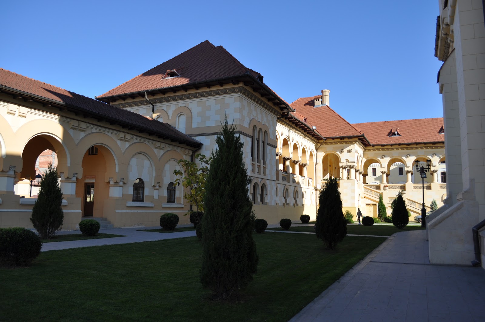 Poze, Natura, Animale, Plante, Romania, Valcea, Ionut Ungureanu
