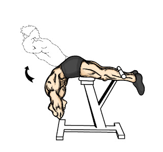 OLYMPO GYM: HIPEREXTENSIONES