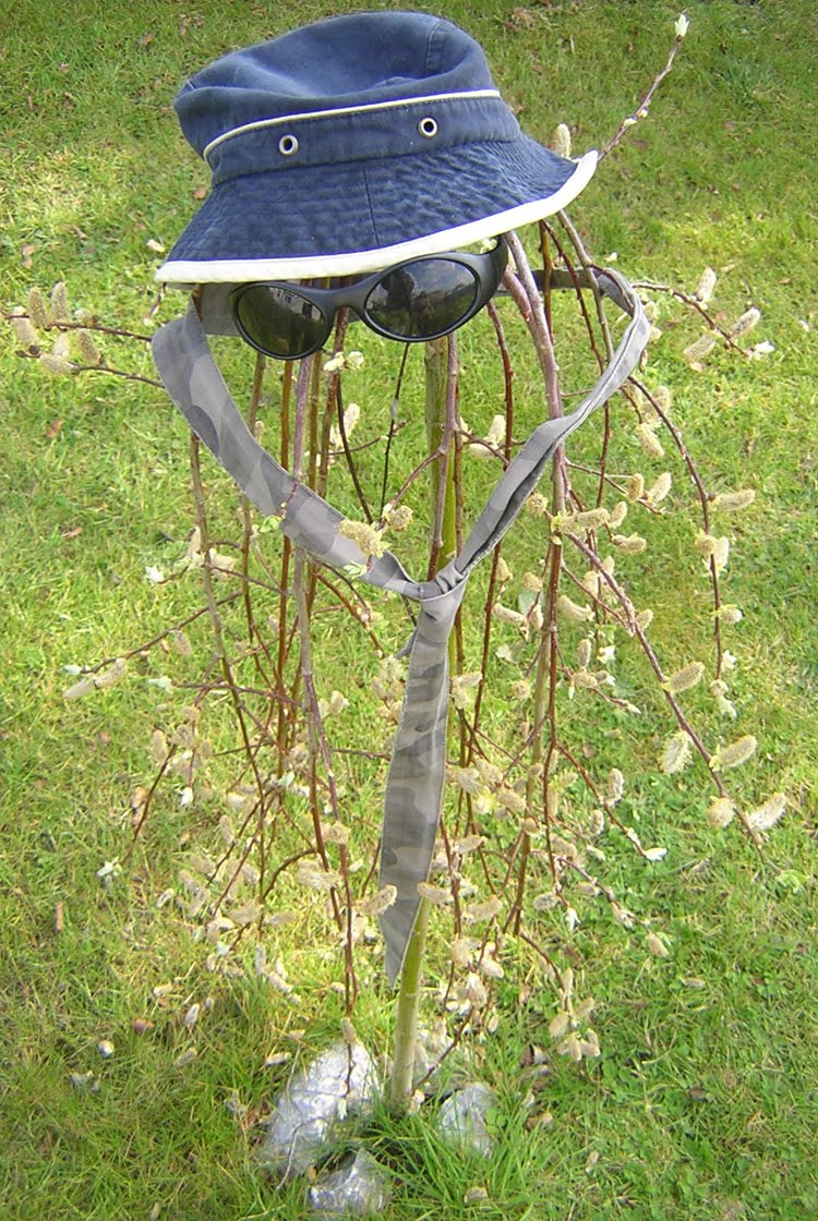 Windywillow: Cousin Itt, our Salix Caprea