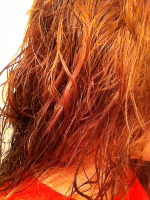 - the invisible lemongrass -: my hair journey: red to honey caramel ...