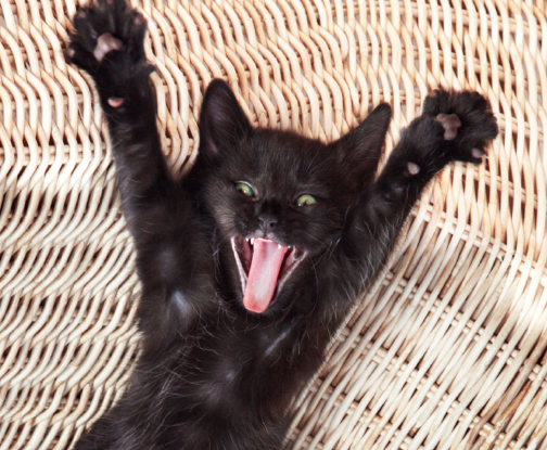 365 Days of Jazz Hands: 365 Days of Jazz Hands - Day 161