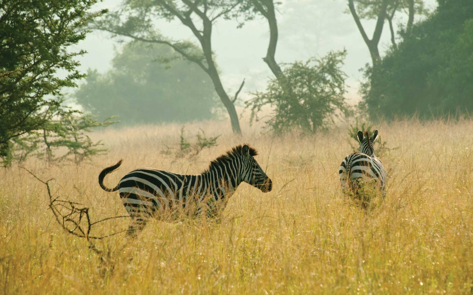 Lake Mburo National Park - Africa Family Travel