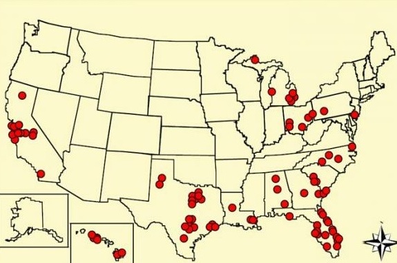 Today with J P Ronan: feral hogs