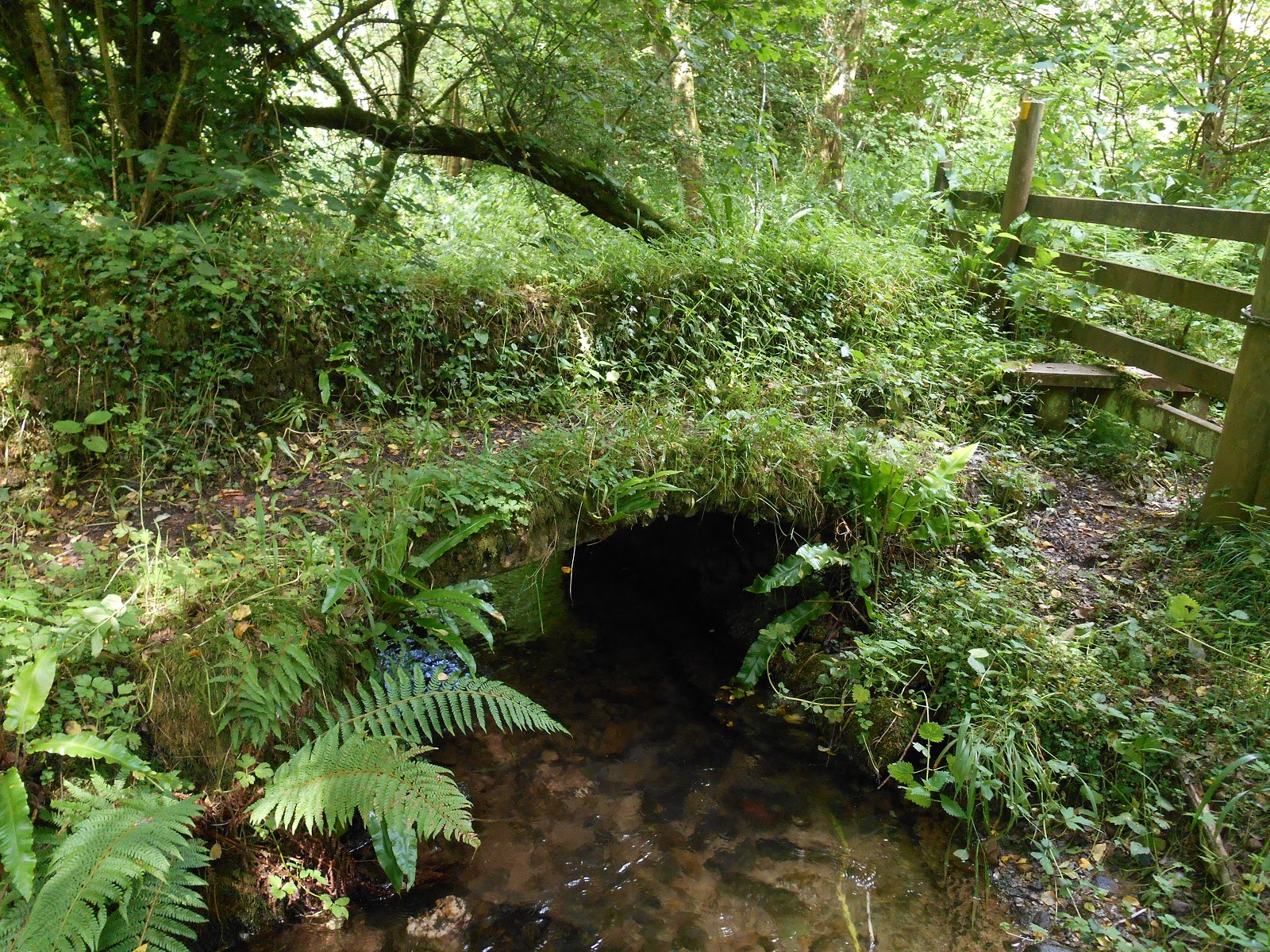 Off the Beaten Track in Somerset: The Lost Village of Clicket