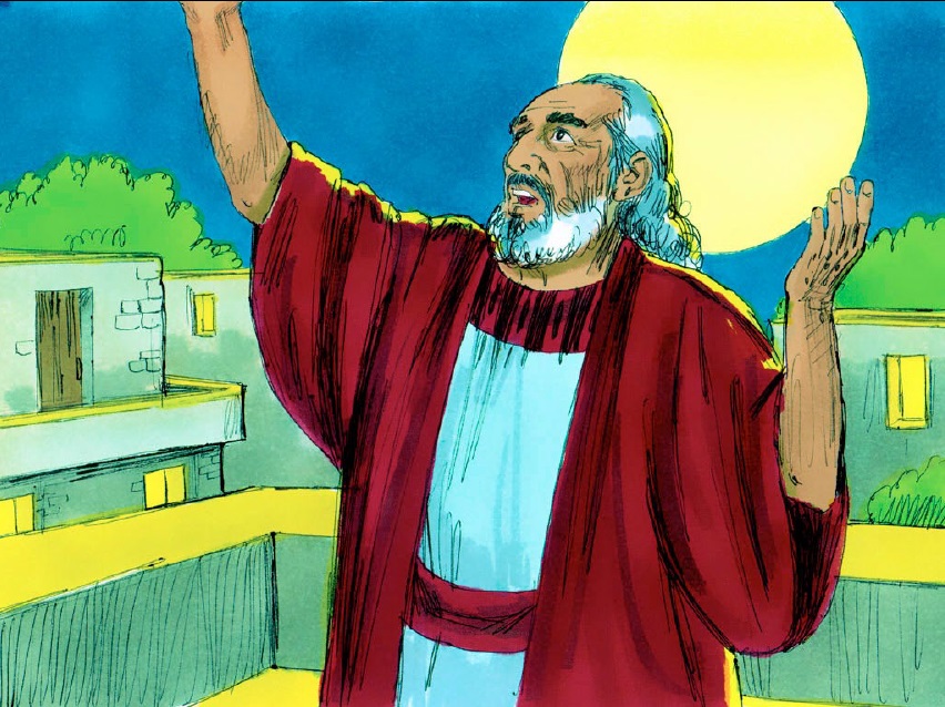 No Caminho Certo: Arca de Noé- Noach