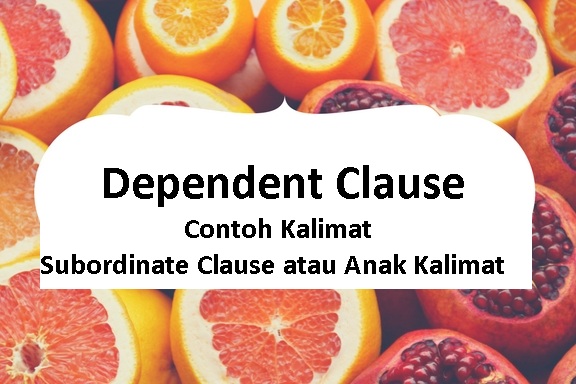 Contoh Kalimat Dependent Clause dan Konjungsi di Dalam Kalimat ...