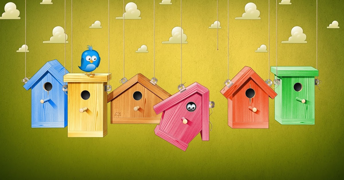 Bird cages art cartoon