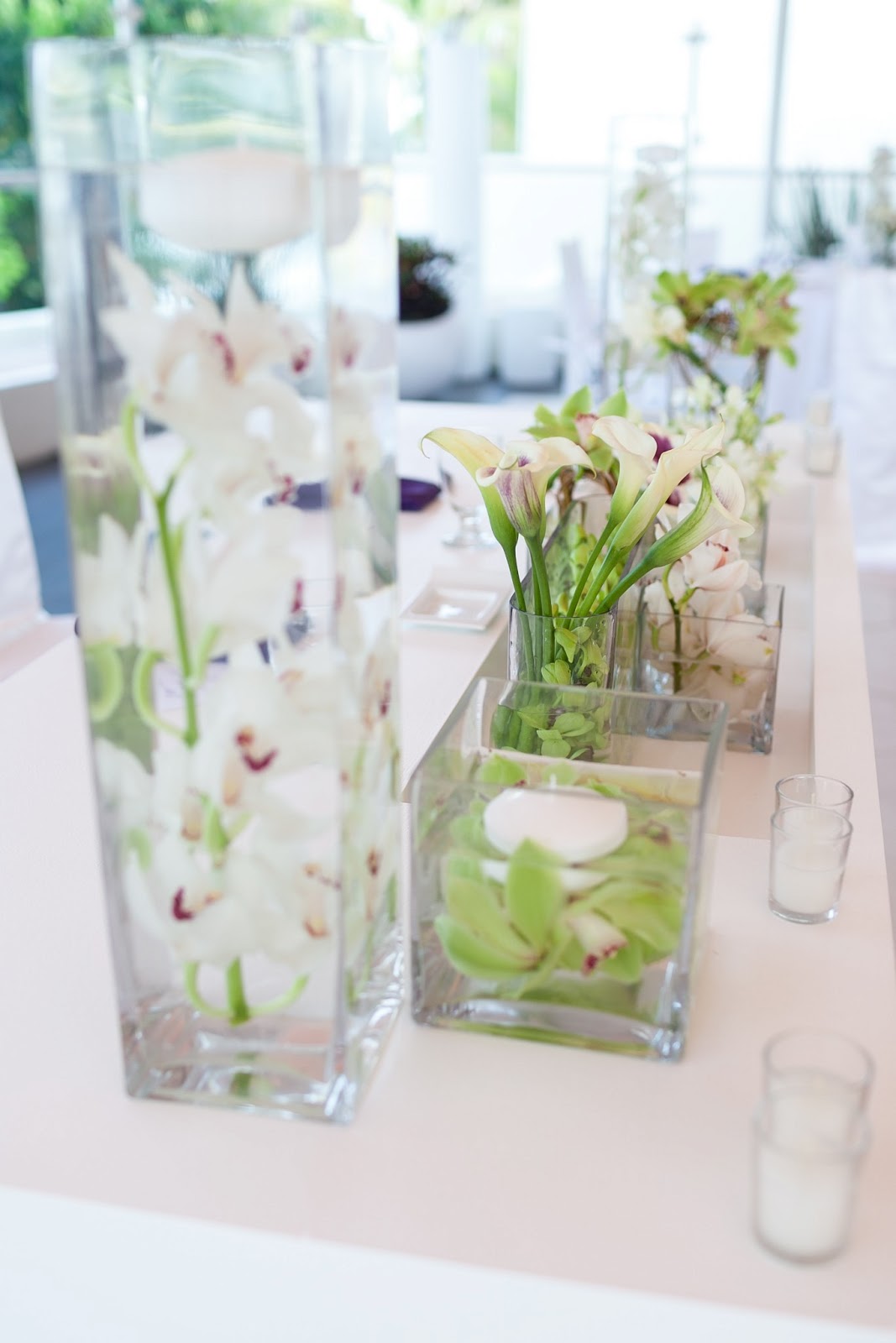 Momentus Special Events and More: Sara & Joe Honaker