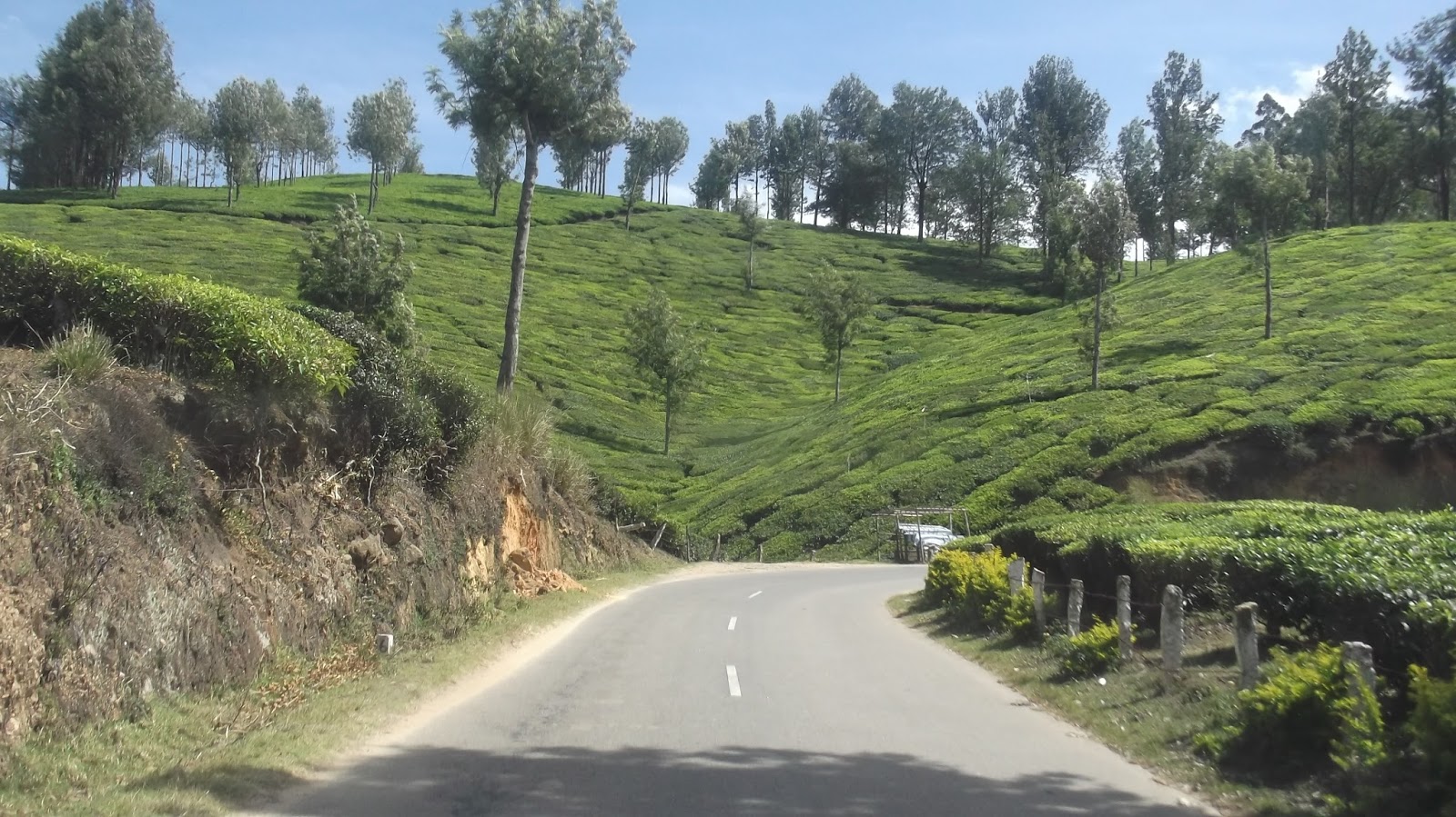Riding Above The Clouds: Top Station | Munnar, Kerala | Know Your ...