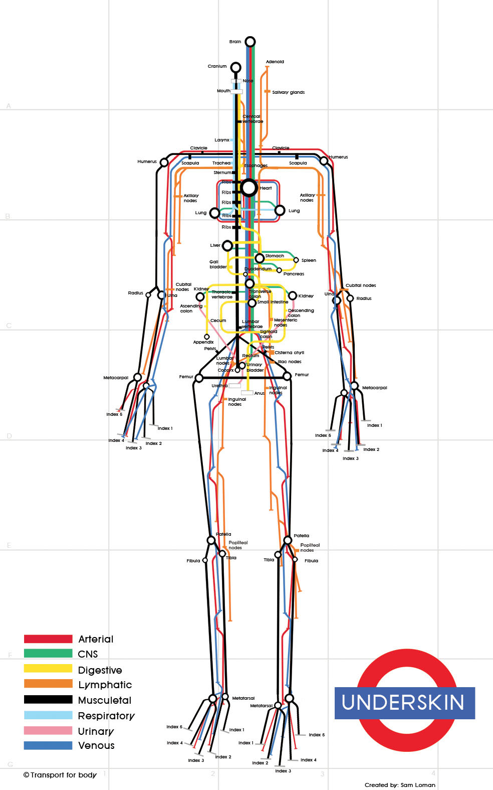 The Art in Science: The human body as a tube map