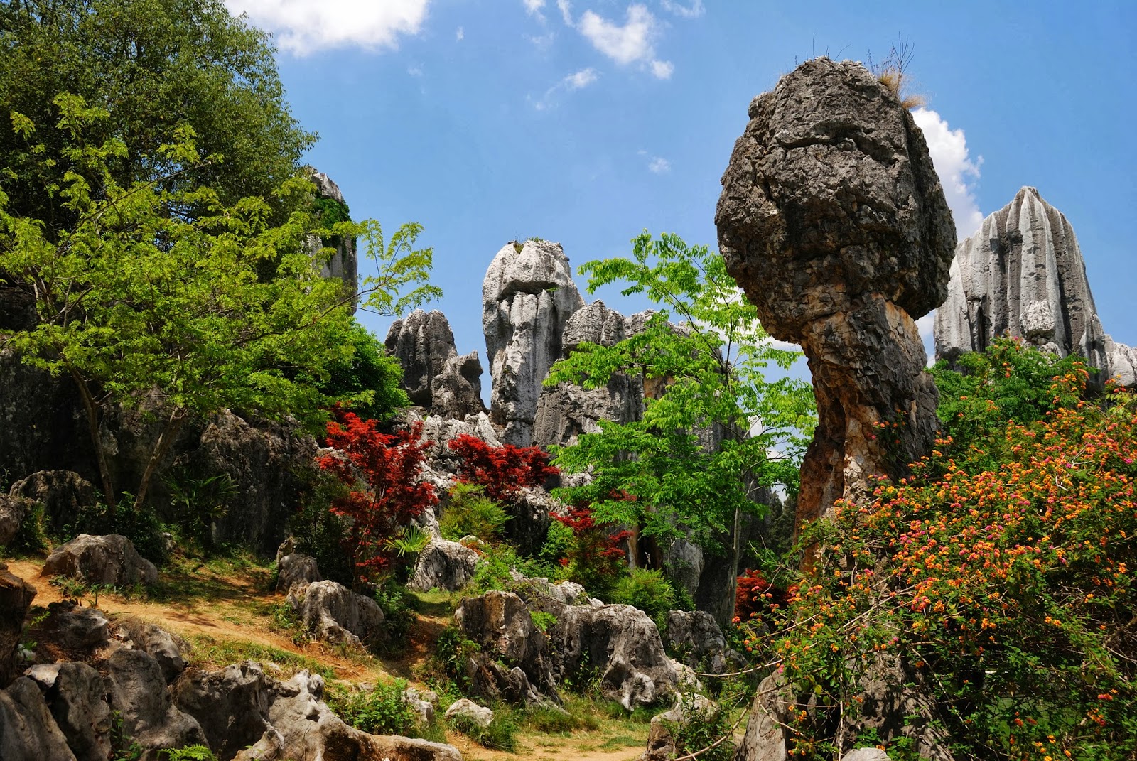 Pinceladas Actuales: El Bosque de Piedra de Shilin