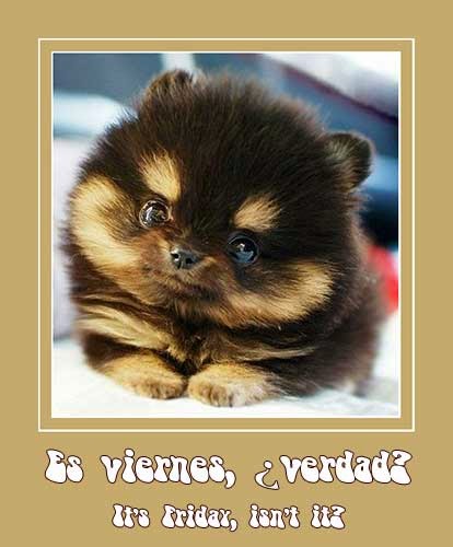 ¡Es viernes! ¡Sonríe! —170