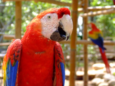 Zona de la Cultura: Tabasco, el Edén del Sureste