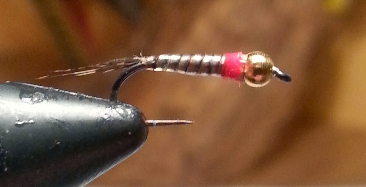 Piscari-Fly : Fishing Stripped Peacock Quill Nymphs in Low Water