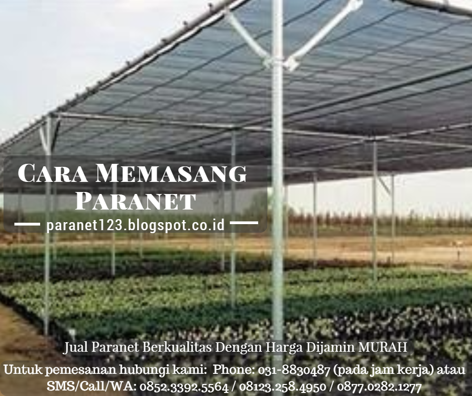 Cara Tepat Memasang Paranet Cara Tepat Memasang Paranet