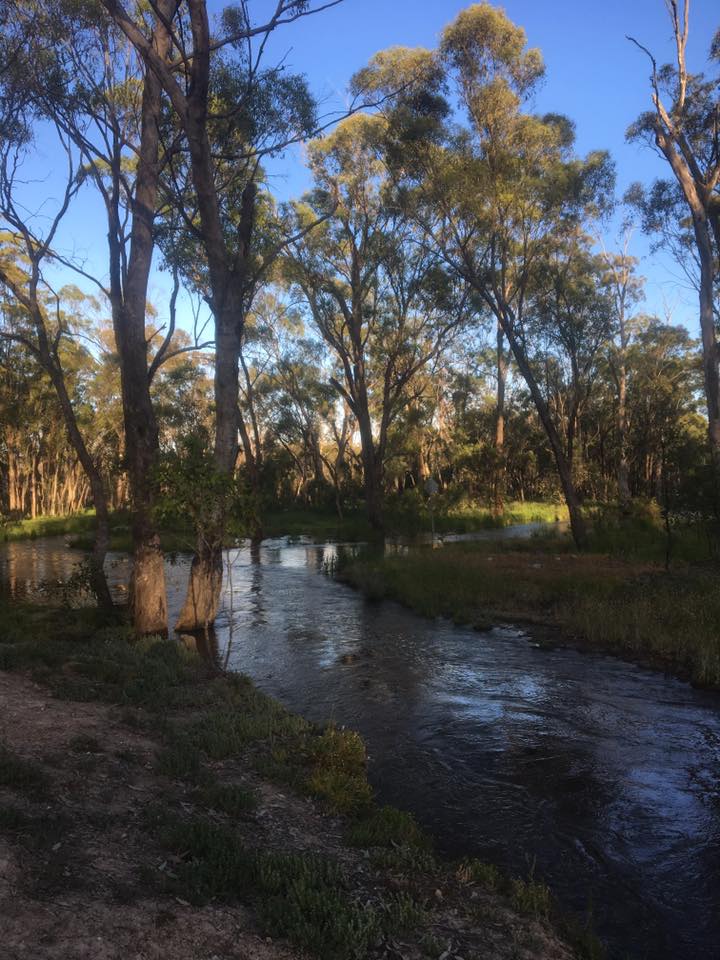 Murray River Kayak.: Murray River Paddle 2016 Day 17 Gunbower ...