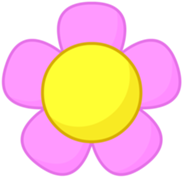 New Land Now: BFDI(A) Bodies