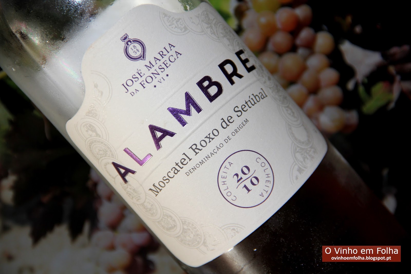 O Vinho em Folha: Alambre 2010 Moscatel Roxo de Setúbal