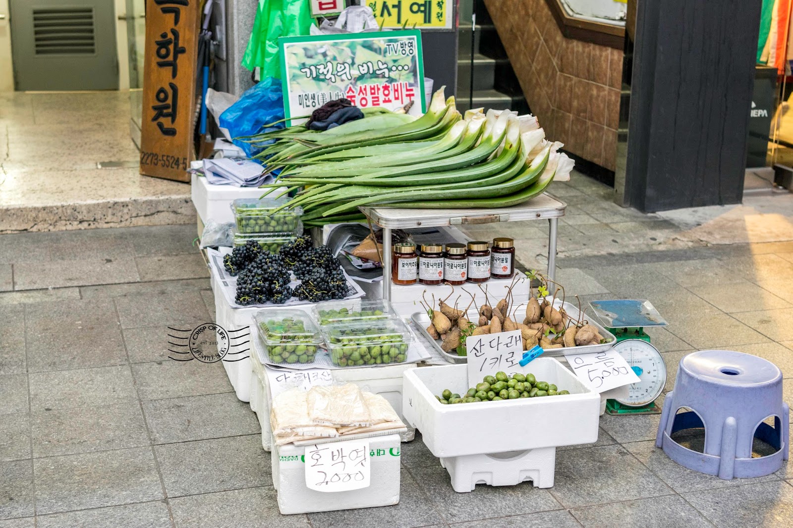Gwangjang Market - A Place to Enjoy Korean Street Food in Seoul - Crisp ...