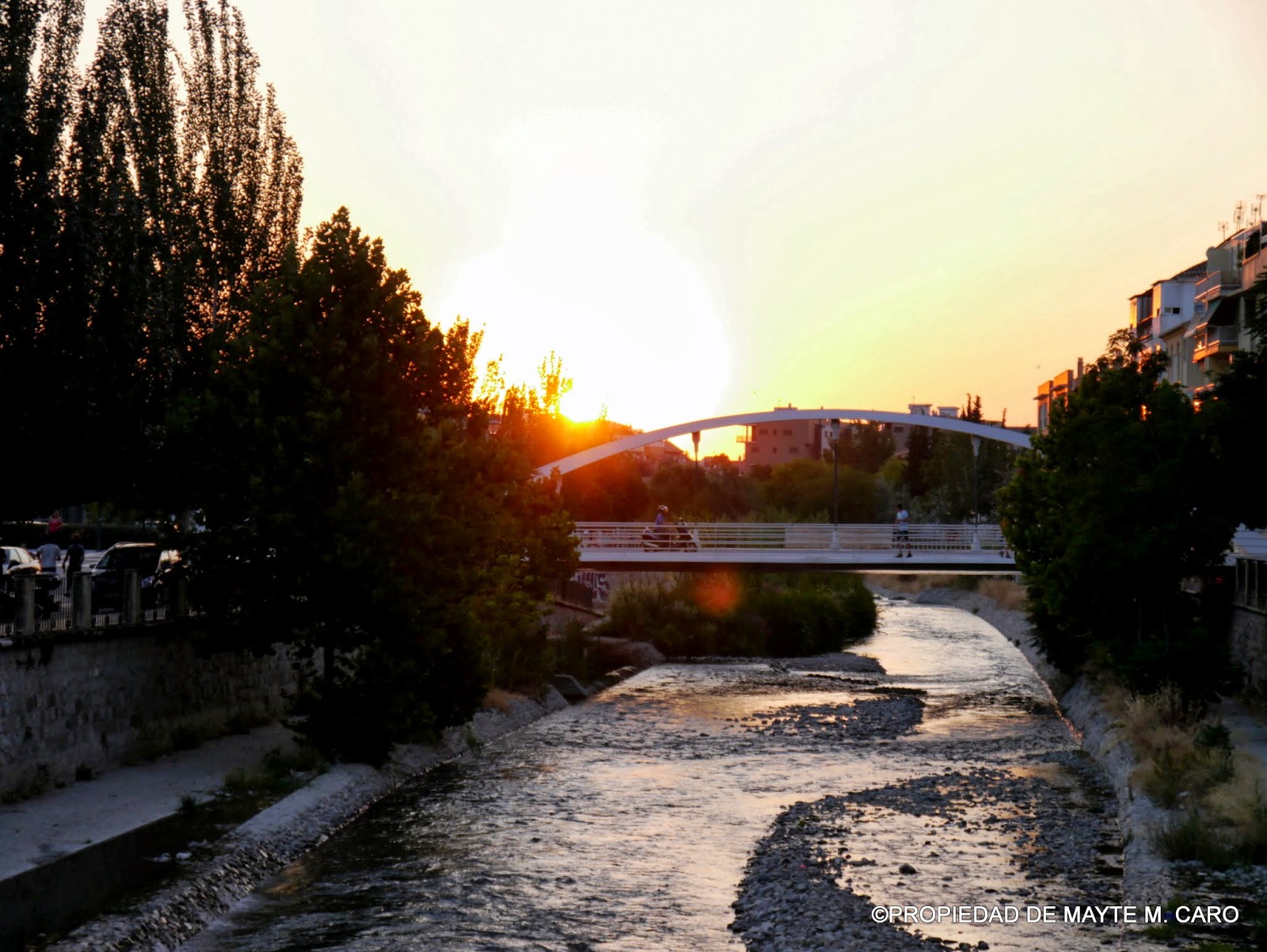 FUENTES EN GRANADA: Nuestro rio Genil a su paso por la ciudad.